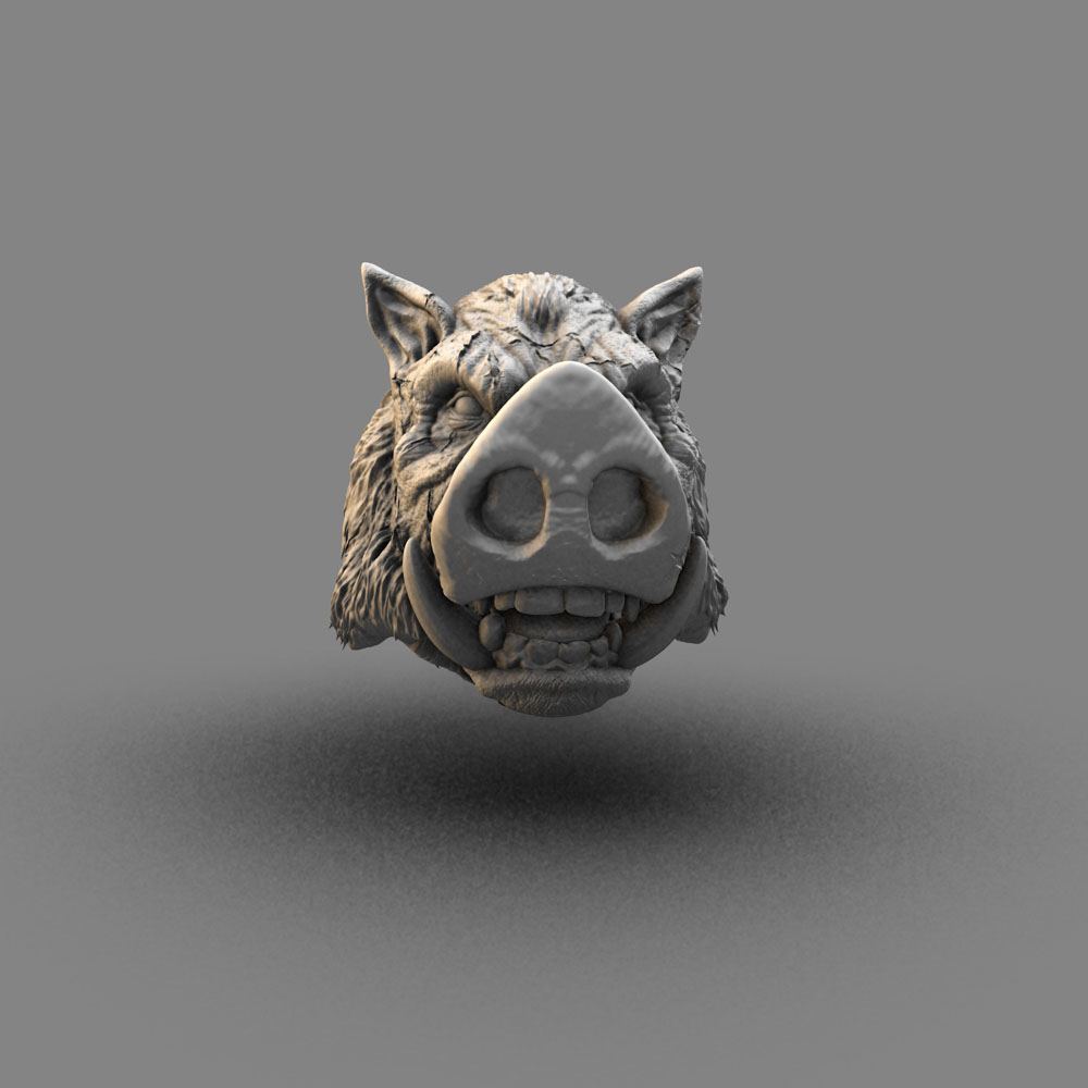 Aetolian Boar Head – Dusk till dawn studio